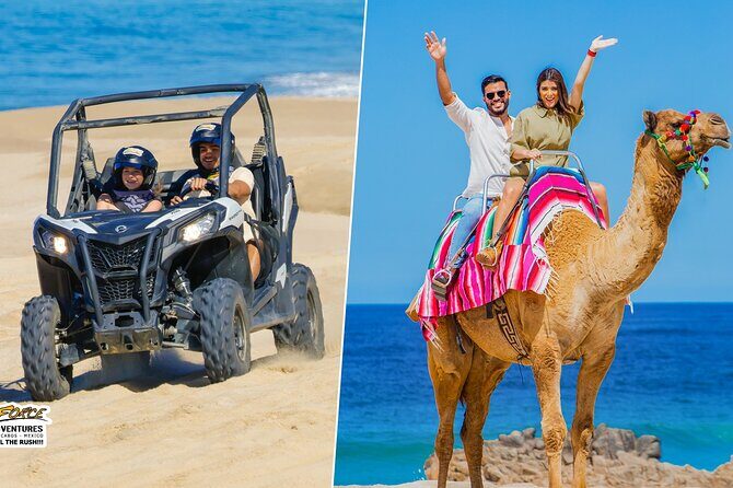 Cabo UTV and Camel Ride Combo - Discover the Cabo UTV and Camel Ride Combo: A Balanced Adventure