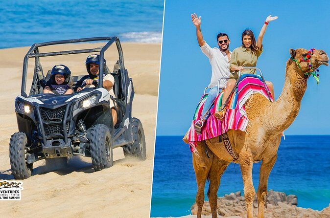 Cabo UTV and Camel Ride Combo - Final Thoughts: The Value of a Baja Blend