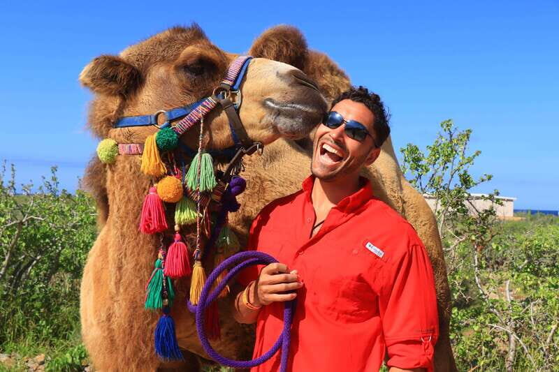 Cabo : UTV and Camel Ride in the Desert - A Practical Look at the Tour Experience