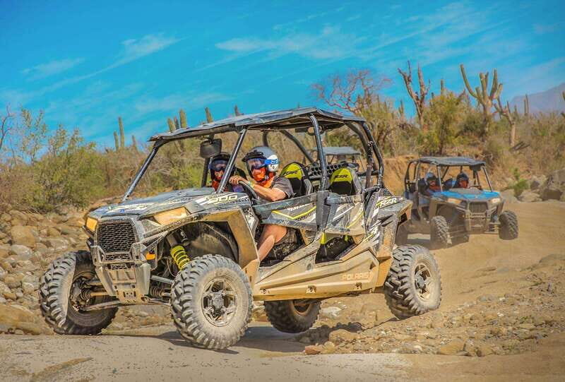 Cabo : UTV and Camel Ride in the Desert - The Sum Up