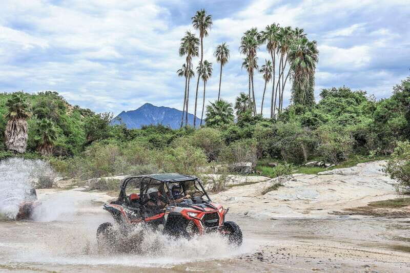Cabo: UTV Off-Roading, Mexican Lunch, and Tequila - Exploring the Baja Desert on UTV: An Authentic Off-Road Adventure