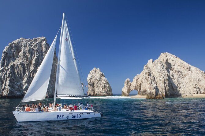 Cabo Whale Watching Cruise - Analyzing Value and Practicalities