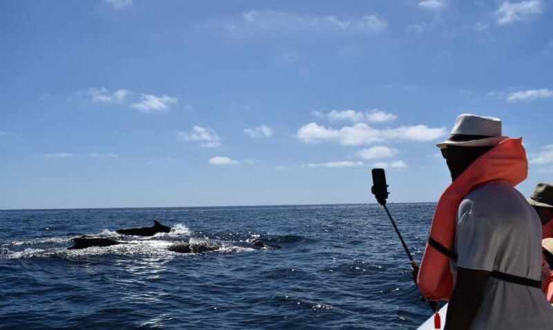 Cabo: Whale-Whatching Boat Trip w/ All-Women Crew and Photos - Why This Tour Offers Great Value
