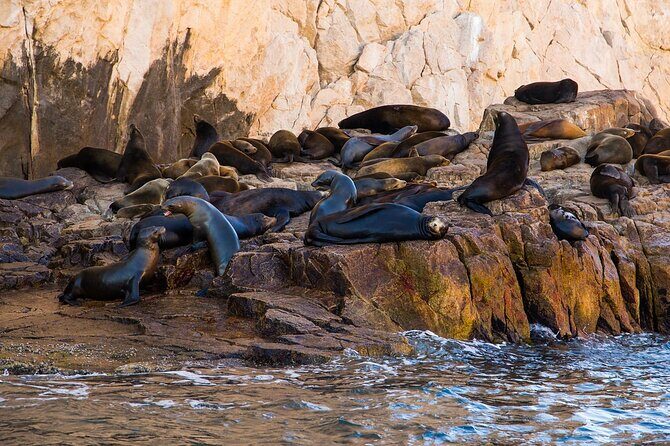 Cabo Wonders: Snorkeling at the Arch in Cabo - The Realities from Reviewers