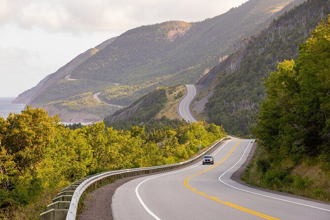 Cabot Trail Bus Tour for Cruise Excursion - Who Will Benefit Most from This Tour?