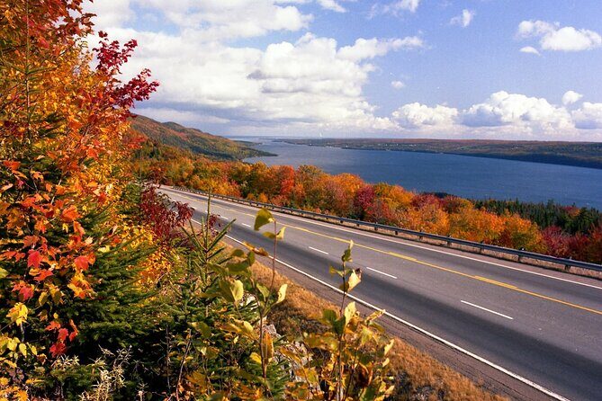 Cabot Trail Ingonish Beach & Green Cove Adventures in Cape Breton - What Makes This Tour Stand Out?