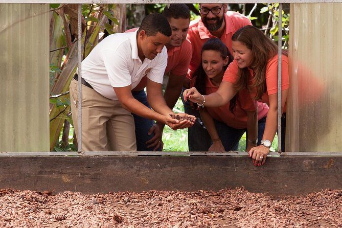 Cacao trail and making of chocolate tour from Santo Domingo - Who Should Consider This Tour?