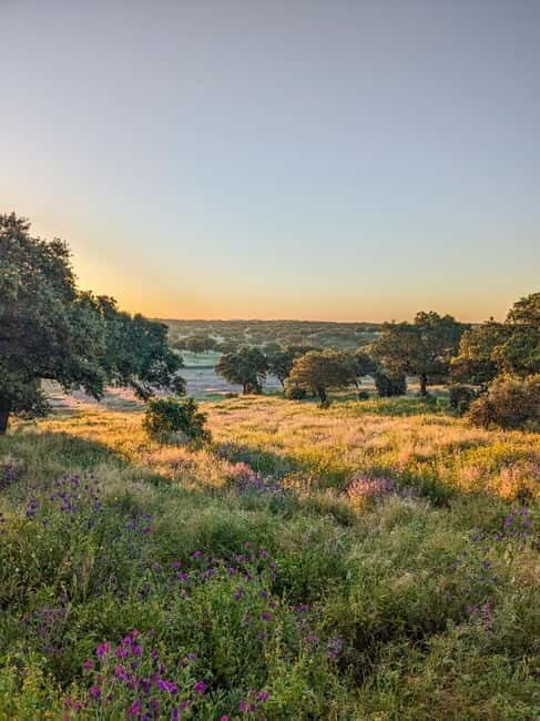 Cáceres: Monfrague Wildlife Full-Day Tour - An In-Depth Look at the Monfragüe Wildlife Experience