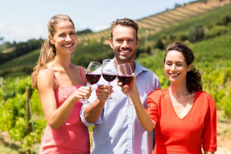 Cáceres: Winery Tour and Wine Tasting with Local Guide - Key Points