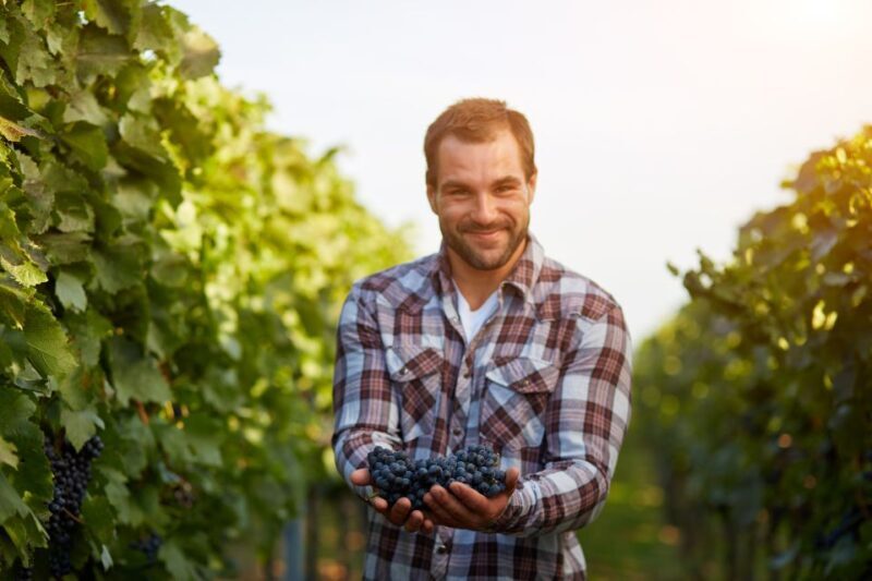 Cáceres: Winery Tour and Wine Tasting with Local Guide - The Authentic Experience You Can Expect