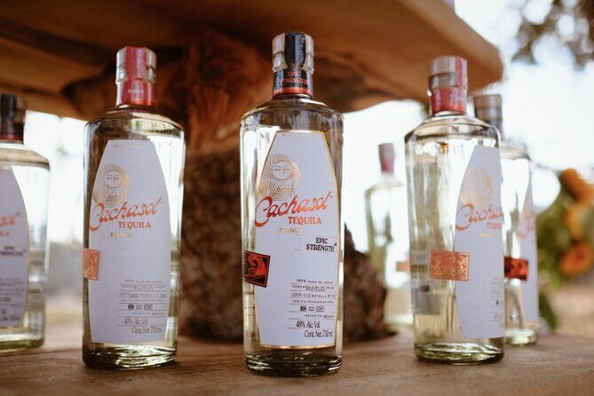 Cachasol Raicilla and Tequila Tour - What Our Reviewers Say