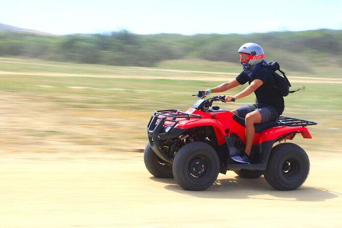 Cactus Combo Combine two of your favorite desert tours - Key Points