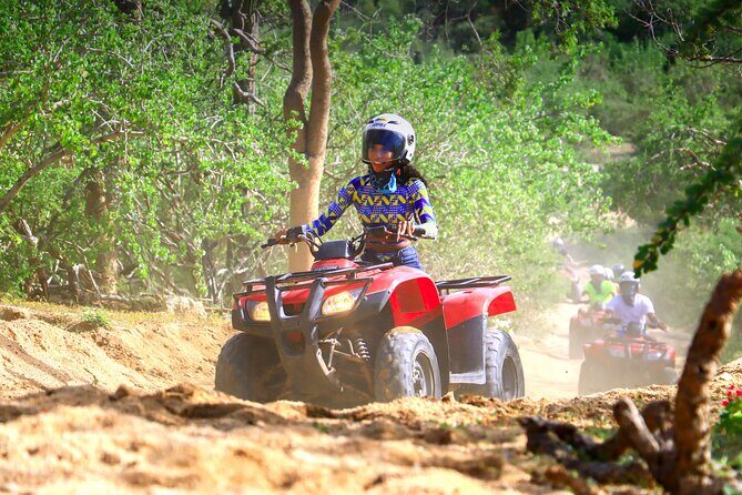 Cactus Combo Combine two of your favorite desert tours - Exploring the Tour: What You Can Expect in Detail