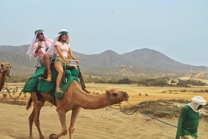 Cactus Combo Combine two of your favorite desert tours - FAQs