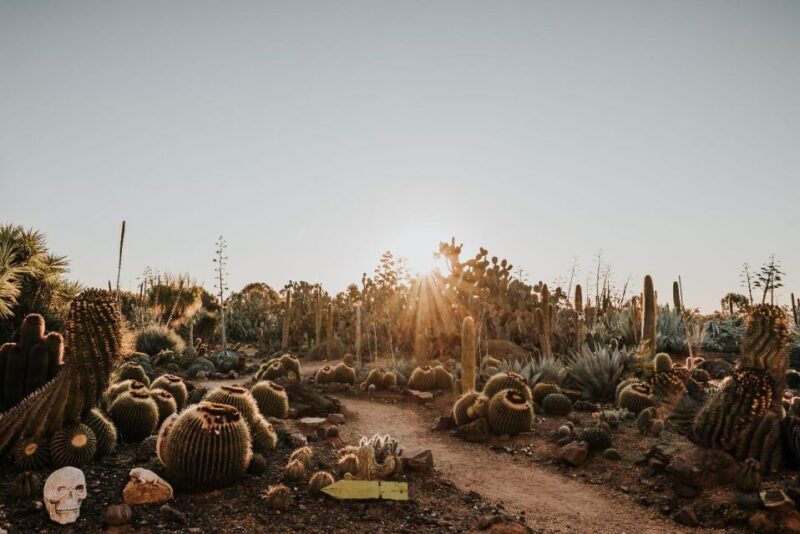 Cactus Country: Entry Ticket - Exploring Cactus Country: What to Expect