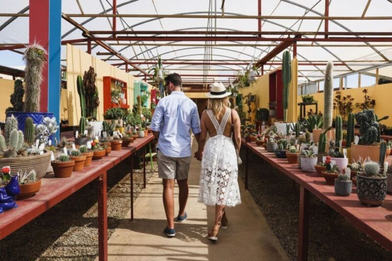Cactus Country: Entry Ticket - Pricing & Value