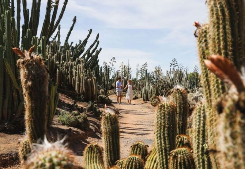 Cactus Country: Entry Ticket - Accessibility & Practical Details