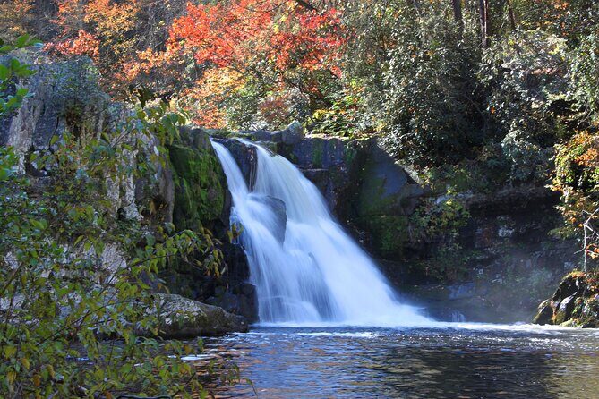 Cades Cove Sightseeing Self-Guided Driving Audio Tour - Overview of the Tour