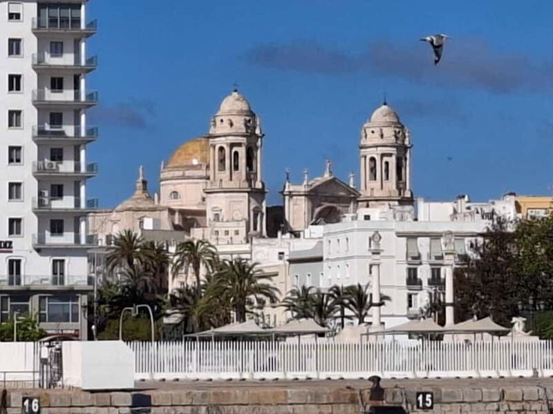 Cadiz and its Bay: a day trip from Seville - Key Points