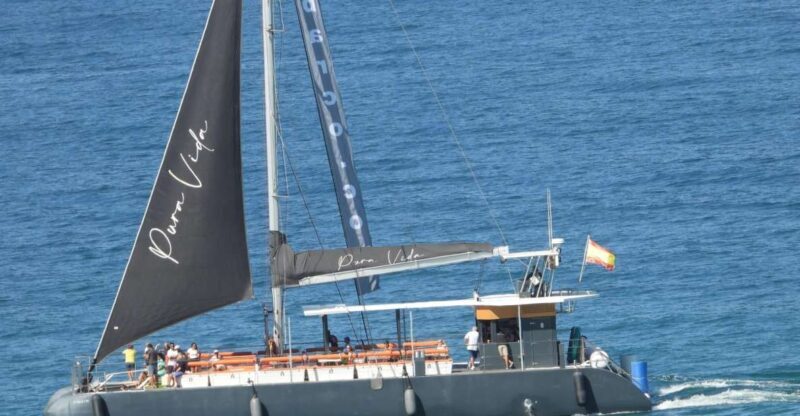 Cadiz: Bay of Cadiz Catamaran Tour with Host - The Itinerary in Detail