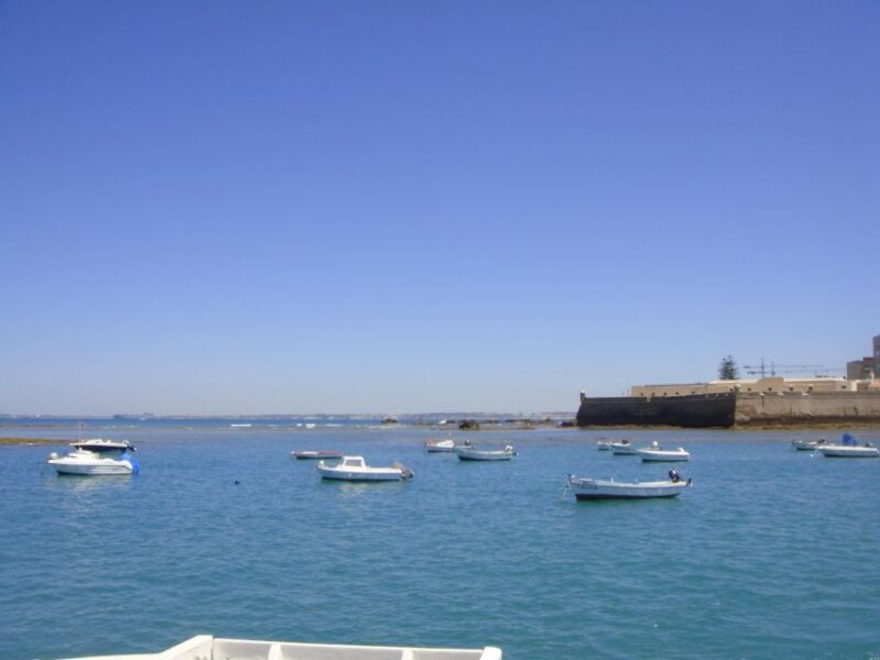 Cadiz: Bay of Cadiz Catamaran Tour with Host - The Sum Up