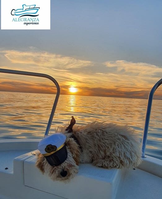 Cadiz Bay: Sunset boat tour "Fall in Love" - An In-Depth Look at the Cádiz Sunset Boat Tour "Fall in Love"
