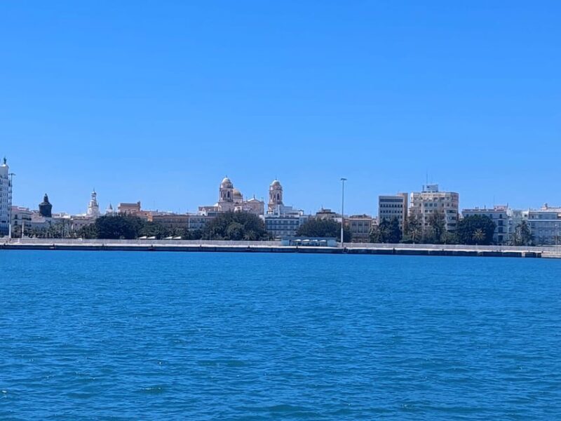 Cadiz capital:Catamarán Experience paseo con baño y almuerzo - The Sum Up