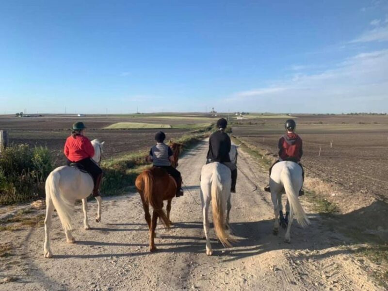 Cádiz Country side: Ride an Andalusian Horse - Who Should Consider This Tour?