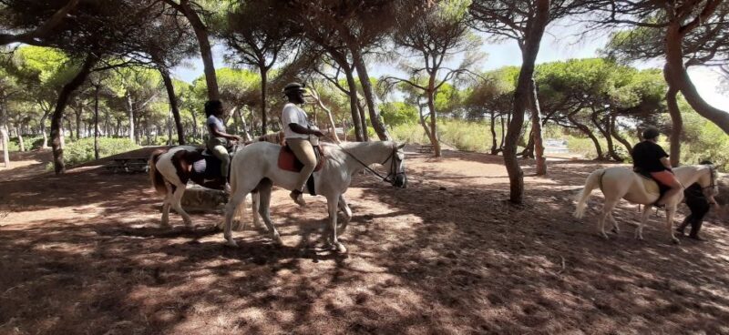 Cádiz Country side: Ride an Andalusian Horse - Final Thoughts: Is It Worth It?