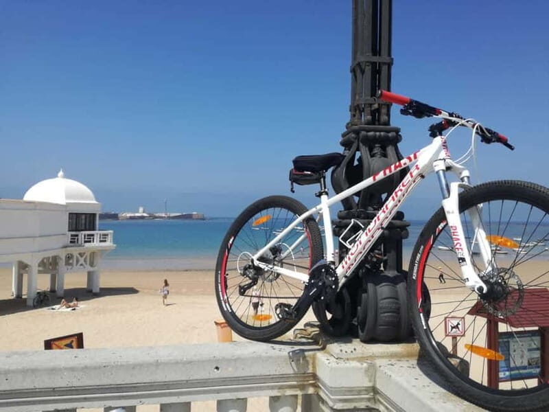 Cádiz: Guided Bike Tour - An In-Depth Look at the Cádiz Bicycle Adventure
