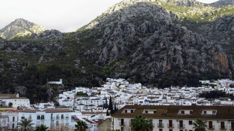 Cadiz, Jerez or El Puerto: White Towns of Andalusia Day Trip - Key Points