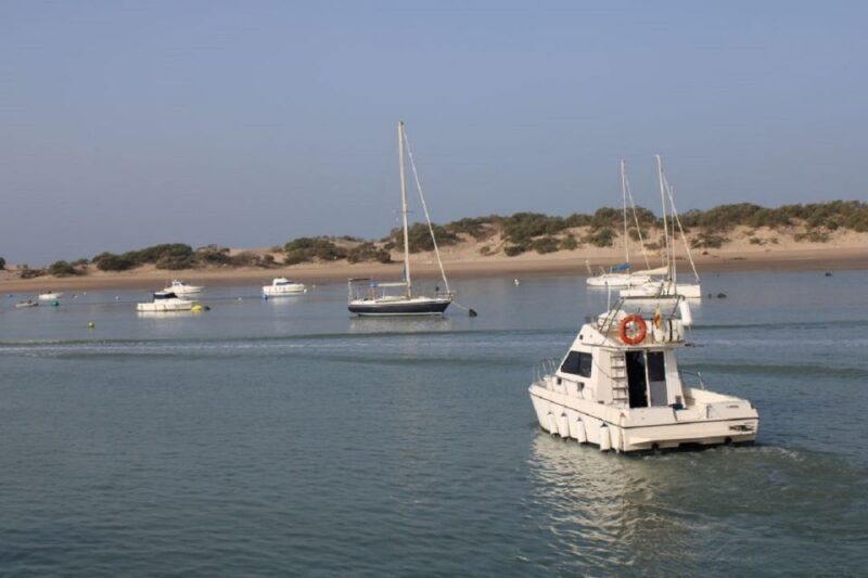 Cadiz: Private 2-Hour Catamaran Rental with Personal Captain - The Sum Up