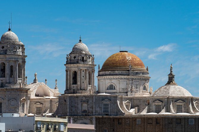 Cadiz Private Walking Tour with a Professional Guide - Who Should Consider This Tour?