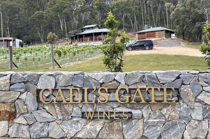 Cael's Gate Wine Tasting with Cheese and Charcuterie Board - An In-Depth Look at Caels Gate Wine Tasting Experience