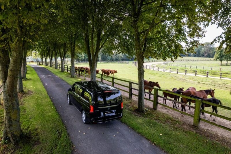 Caen: Guided Tour of Caen and Bayeux - A Closer Look at the Tour Experience