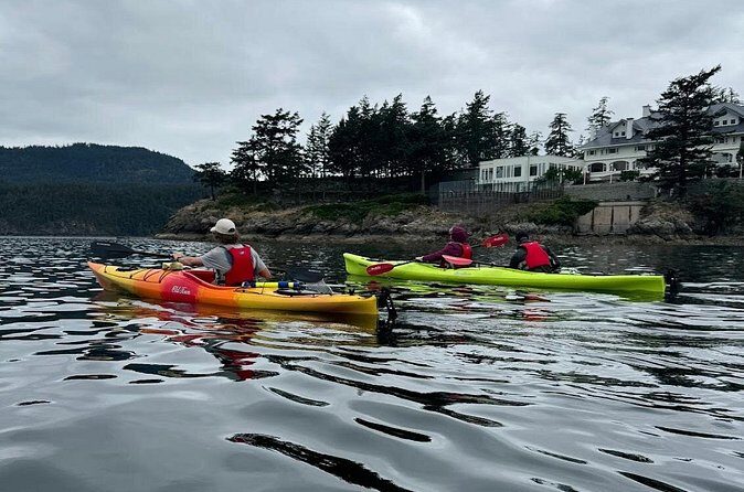 Cafes and Kayaks: Full Day Kayaking Adventure on Orcas Island - Final Thoughts: Why You Should Consider This Adventure