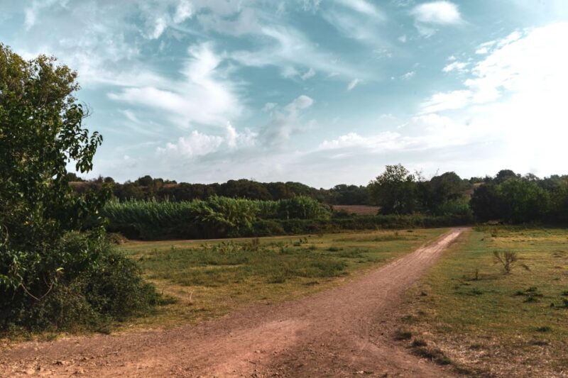 Caffarella Park: Rome's Secret Urban Hiking Paradise - An In-Depth Look at Caffarella Park: Rome’s Quiet Corner