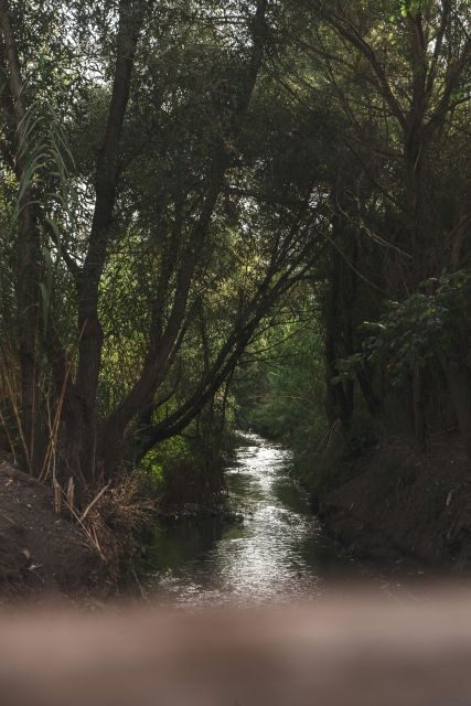 Caffarella Park: Rome's Secret Urban Hiking Paradise - Frequently Asked Questions