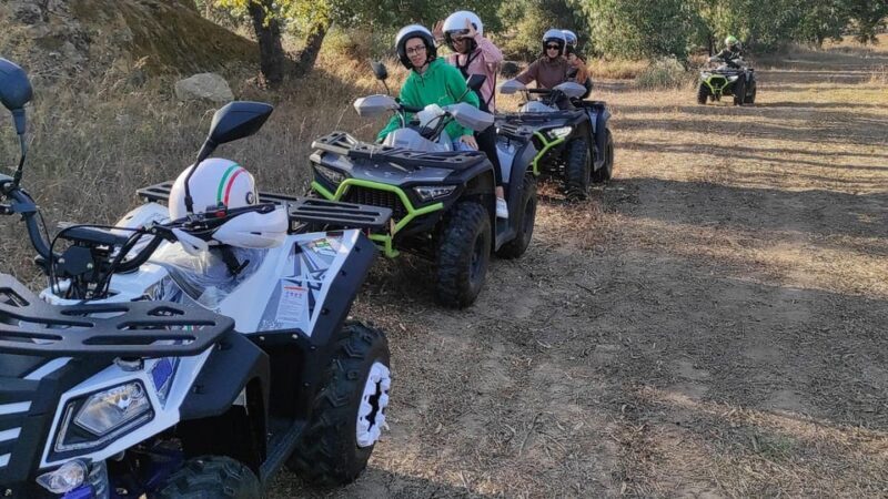 Cagliari: 4-hour ATV tour from Guasila - Who Should Consider This Tour?