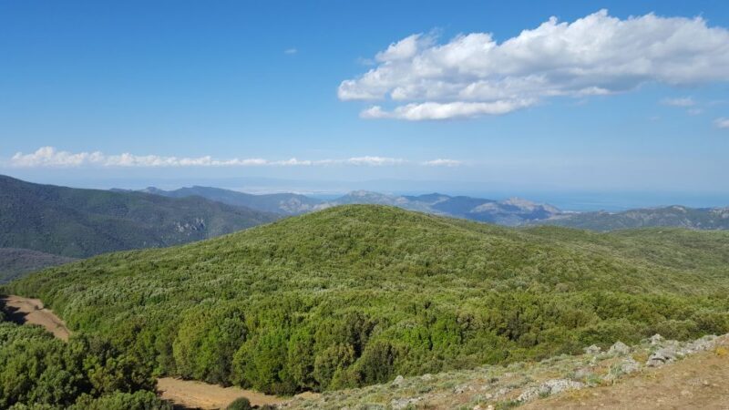 Cagliari: Amazing Sulcis Jeep Experience from Iglesias - Who Is This Tour Best For?