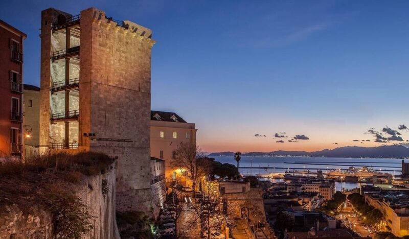Cagliari City tour and Flamingos Park by minivan and walking - Exploring Molentargius Park and Flamingos
