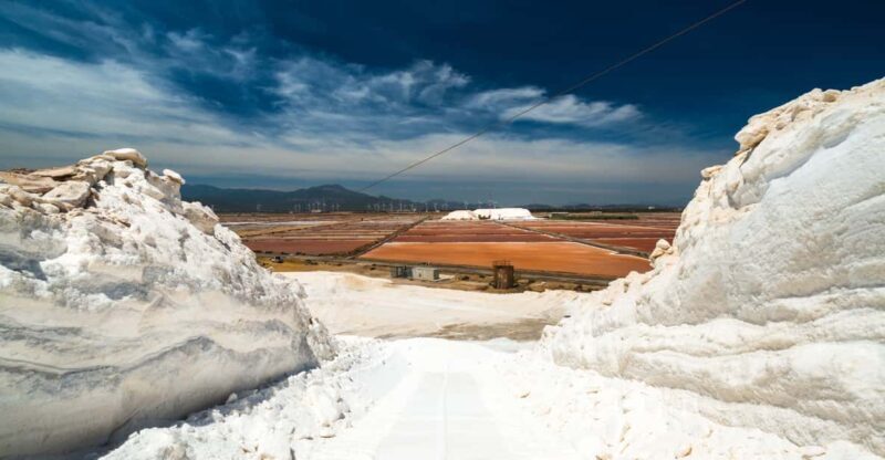 Cagliari: Conti Vecchi Salt Flats Train and Tour - Why This Tour Brings Value to Your Trip