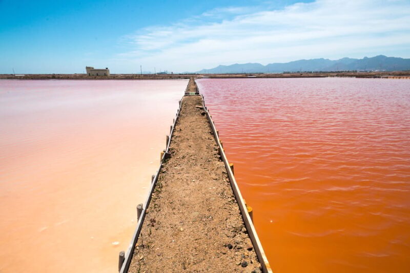 Cagliari: Conti Vecchi Salt Flats Train and Tour - Final Thoughts: Who Will Love This Experience?