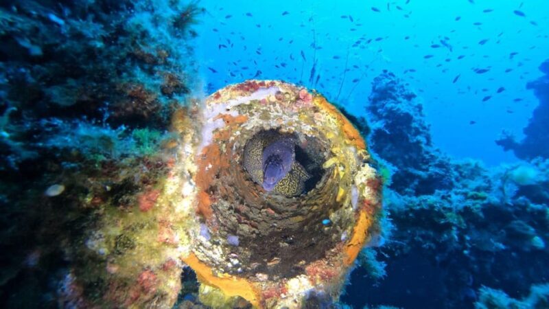 Cagliari: Discover scuba diving for Beginners - Potential Drawbacks or Considerations