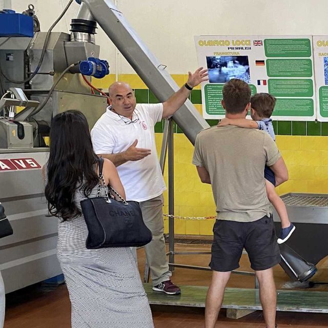 Cagliari: Exclusive Extra Virgin Olive Oil Tour at Museum - Key Points