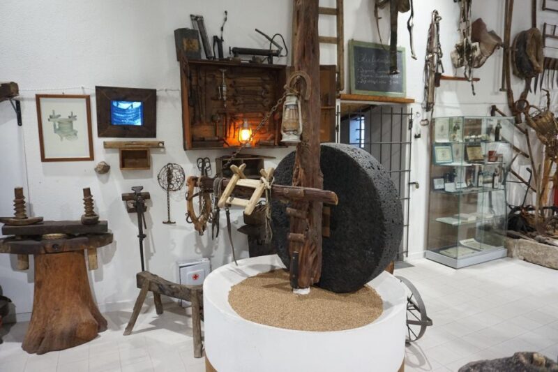 Cagliari: Exclusive Extra Virgin Olive Oil Tour at Museum - The Itinerary Breakdown