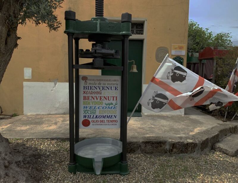 Cagliari: Exclusive Extra Virgin Olive Oil Tour at Museum - Final Thoughts: Is This Tour Worth It?