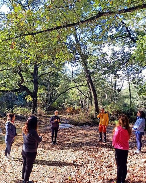 Cagliari: forest bathing at Sette Fratelli Park - Discovering the Forest Bathing Experience in Cagliari