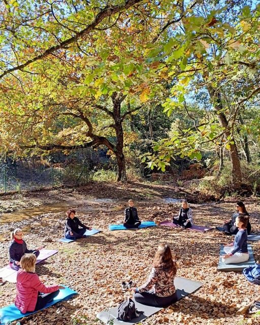 Cagliari: forest bathing at Sette Fratelli Park - Final Thoughts on Value and Authenticity