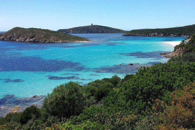 Cagliari: Full-Day Private Tour of Sardinia's Hidden Beaches from Chia - A Deep Dive into the Experience